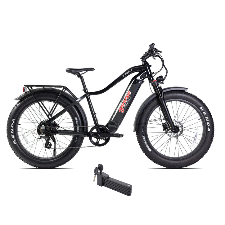 E-Joe 750W 48V Young Electric E-Scout All Terrain Fat Tire Electric Bi