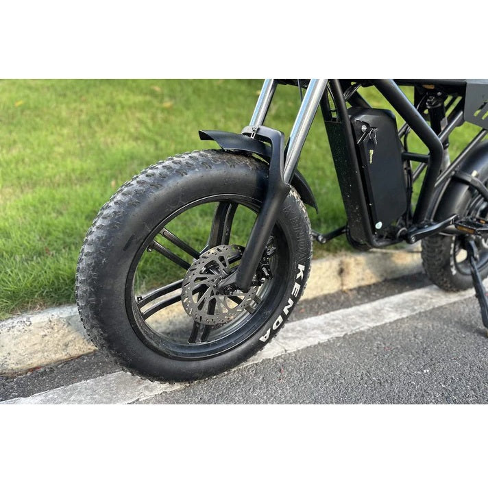 Freego F2 Pro Max Fat Tire E-Bike | 2000W Powerful Ride