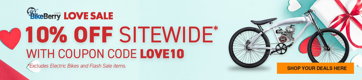 Motorized Bicycle & Electric Bike Specialists | BikeBerry.com