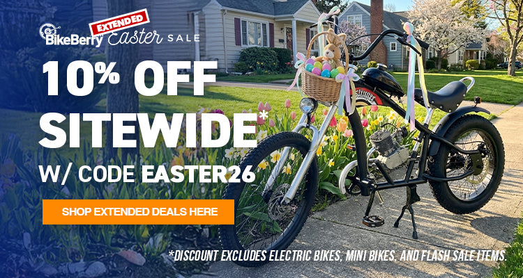 Motorized Bicycle & Electric Bike Specialists | BikeBerry.com