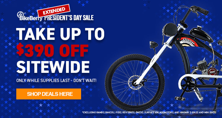 Motorized Bicycle & Electric Bike Specialists | BikeBerry.com