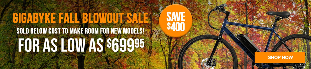 Motorized Bicycle & Electric Bike Specialists | BikeBerry.com