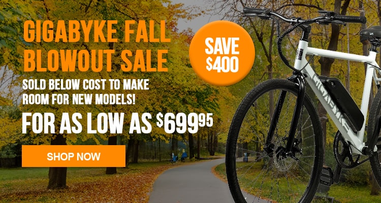 Motorized Bicycle & Electric Bike Specialists | BikeBerry.com