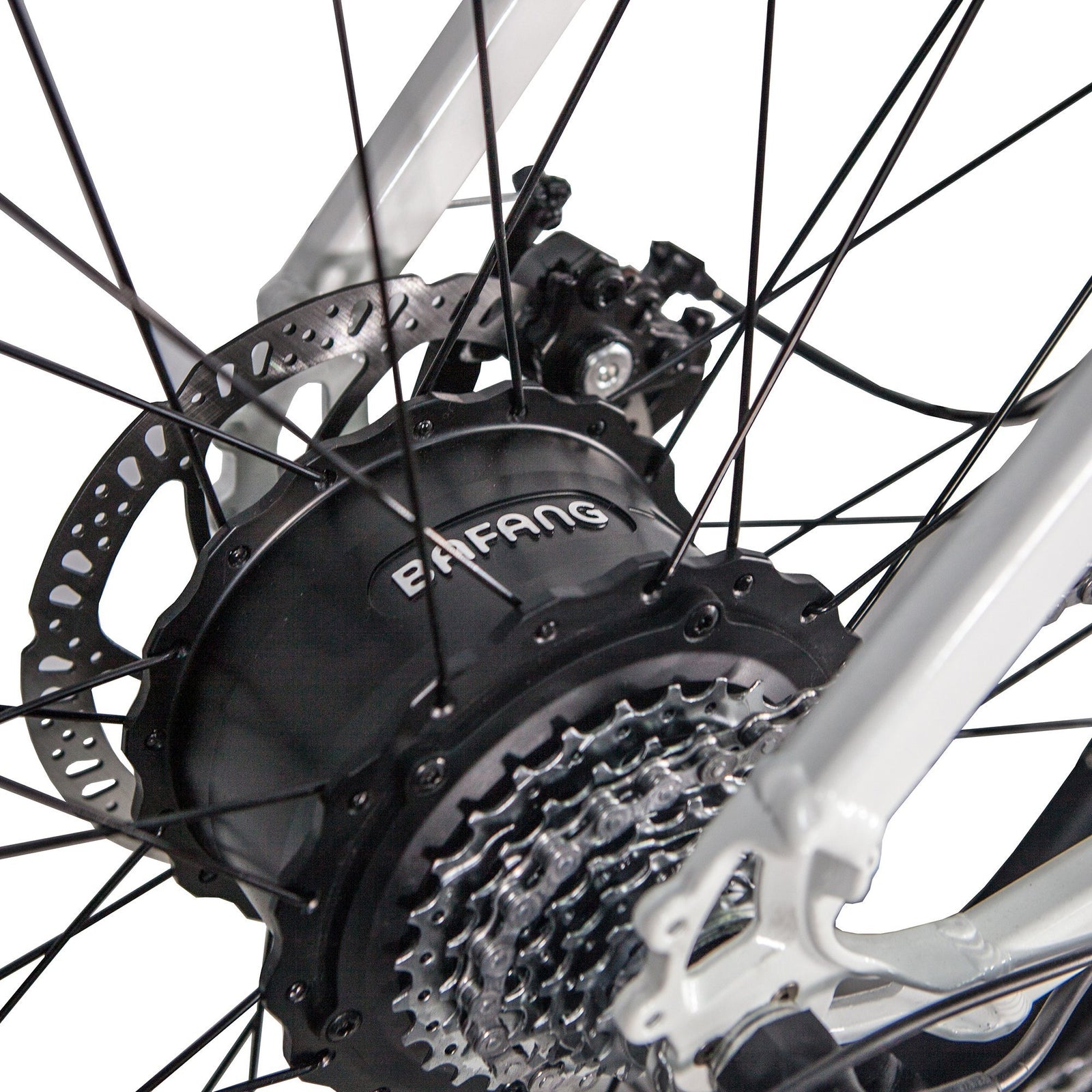 CIVI BIKES 500W Predator - Pre Order Fat Tire Hardtail Mountain ...